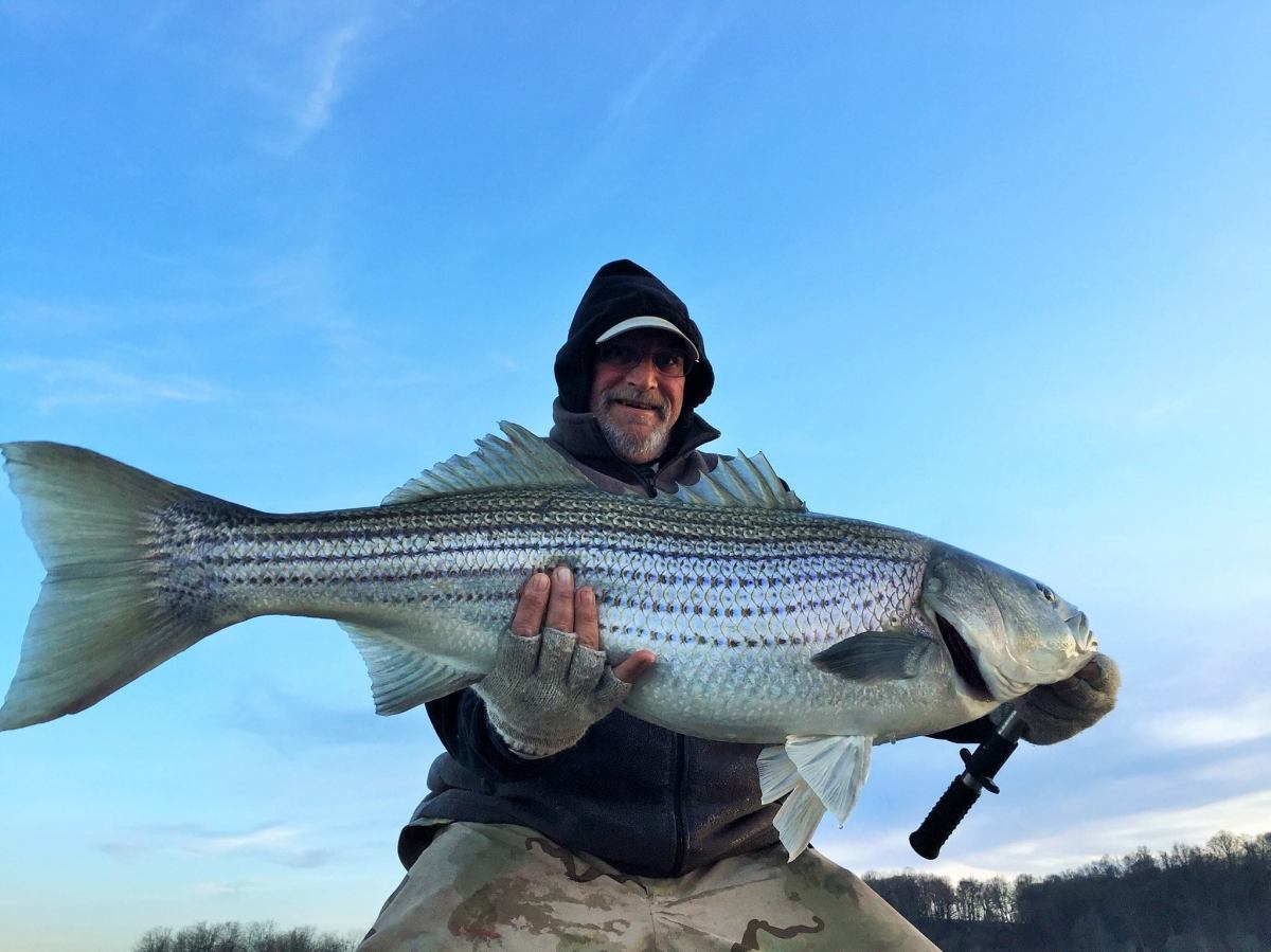 April Fishing in the Upper Bay – Sarges Bait and Tackle Chesapeake Bay ...